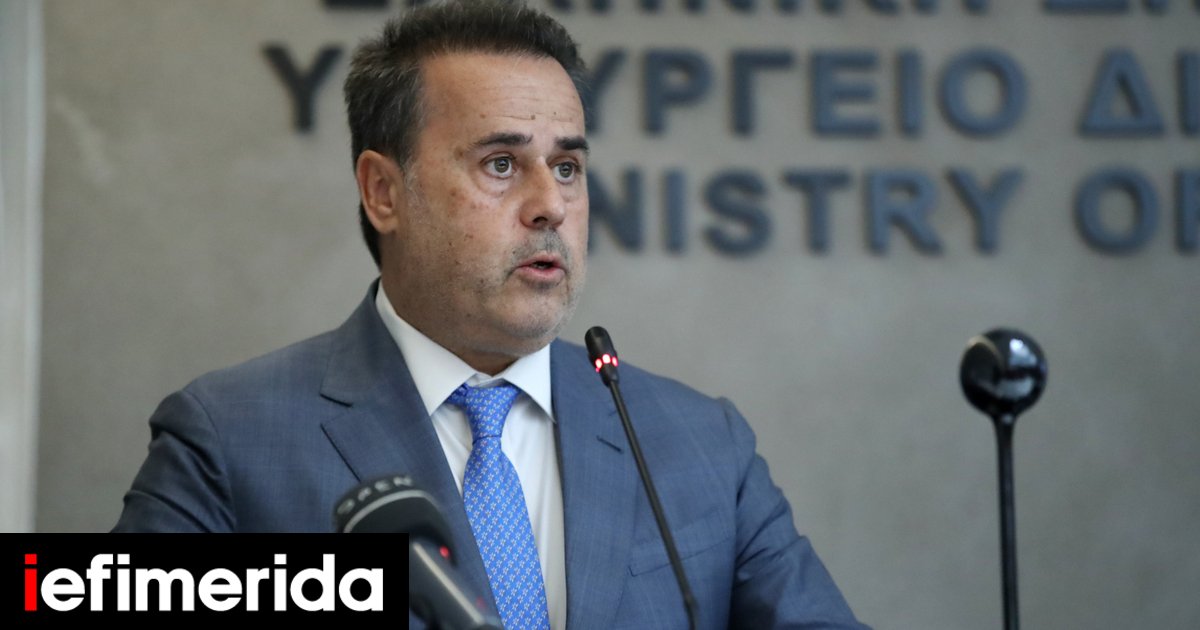 Παπασταύρου: Ο πρωταγωνιστικός ρόλος της χώρας στον τομέα της ενέργειας ...