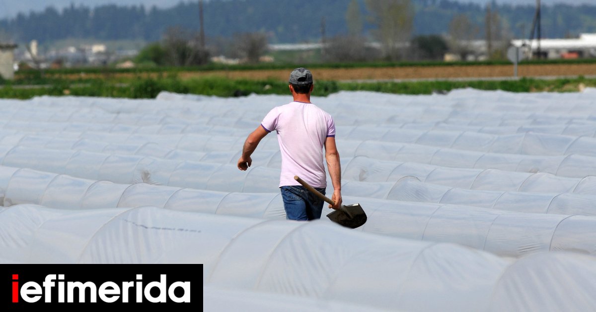 Βέροια: Εργάτες γης κατήγγειλαν πατέρα και γιο -Τους παρακρατούσαν τα ...
