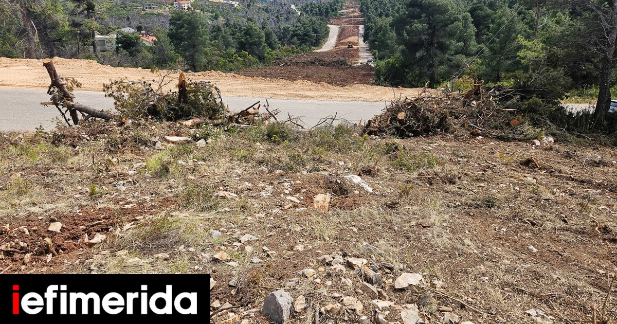 Παράταση στις δηλώσεις καθαρισμού οικοπέδων μέχρι τις 15 Ιουλίου, λόγω ...