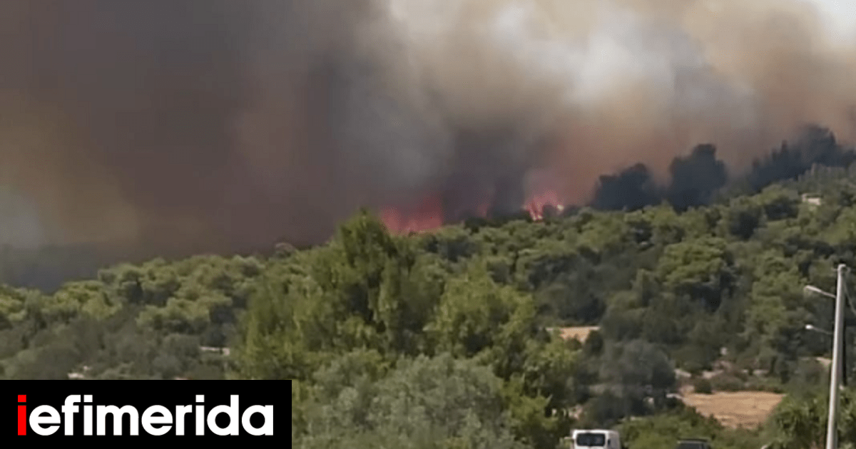 Φωτιά στην Εύβοια, στην Νέα Αρτάκη -Εντολή εκκένωσης για τον οικισμό ...