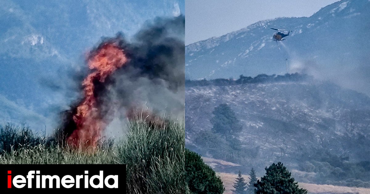 Φωτιά στην Καλαμπάκα: «Μάχη για να σωθεί το Ορθοβούνι», λέει ο δήμαρχος ...