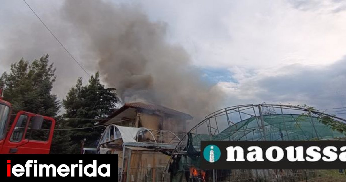 Νάουσα: Γενικό μπλακ αουτ μετά από μεγάλη φωτιά σε σπίτι που έπληξε και ...