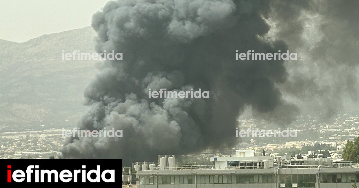 Κάτω Κηφισιά: «Σύντομα στο 100% η παραγωγή» λέει η διοίκηση του ...