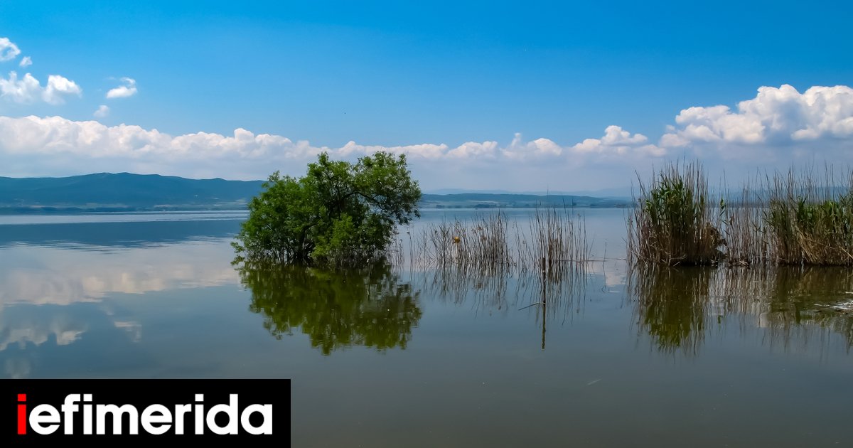 Τα νερά της λίμνης Βόλβης στο μικροσκόπιο των επιστημόνων -Σταθερά ...
