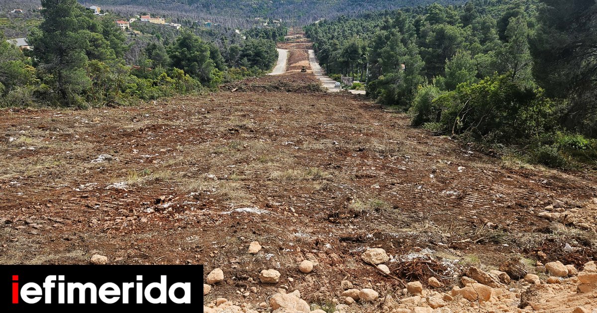 Ακαθάριστα οικόπεδα: Mέχρι 30 Ιουνίου η υποβολή δήλωσης καθαρισμού -Η ...