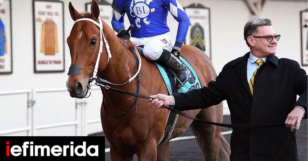 Προπονητής ιπποδρομιών ο Αμερικανός τουρίστας που βρέθηκε νεκρός στην ...