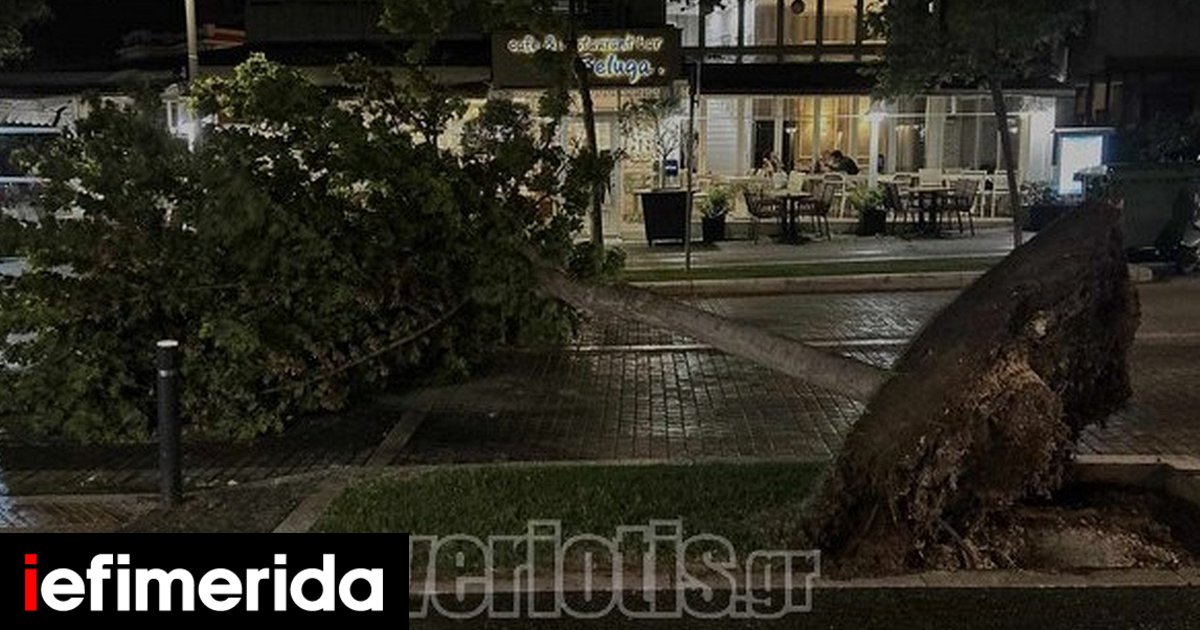 Ξέσπασε μπουρίνι στη Βέροια -Έπεσαν δέντρα και προκλήθηκαν διακοπές ...