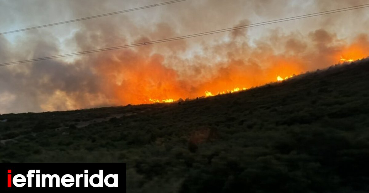 Φωτιά στο Δίστομο: Ολονύχτια μάχη με τις φλόγες -Επιχειρούν 62 πυροσβέστες - iefimerida.gr