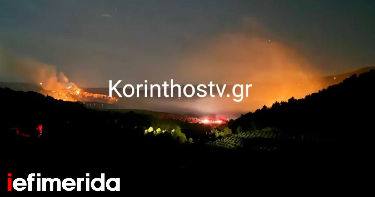 Φωτιά στην Κορινθία: Μεγάλη αναζωπύρωση στο Κούτσι Νεμέας - iefimerida.gr