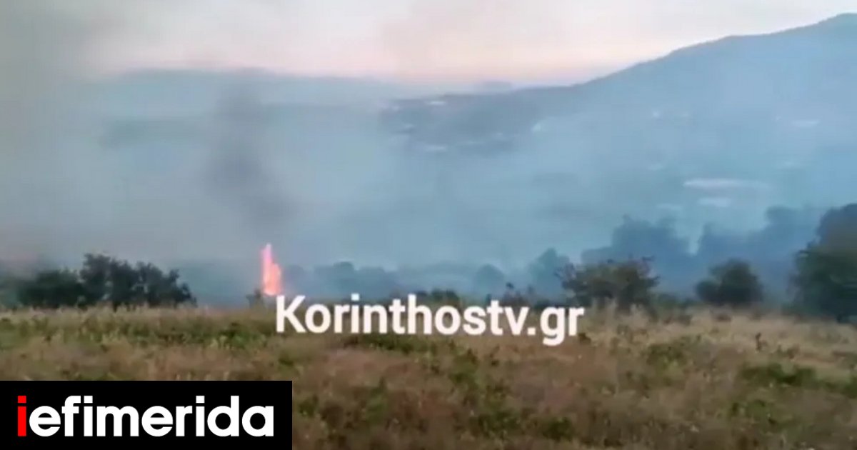 Φωτιά στην Κορινθία: Αναζωπυρώσεις σε Χαλκί και Κούτσι -Πνέουν ισχυροί ...