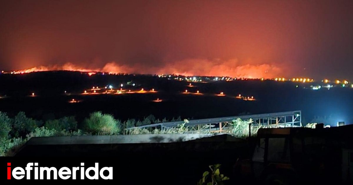 Κιλκίς: Φωτιά στην περιοχή Πευκόδασος -Ήχησε το 112 [βίντεο] - iefimerida.gr