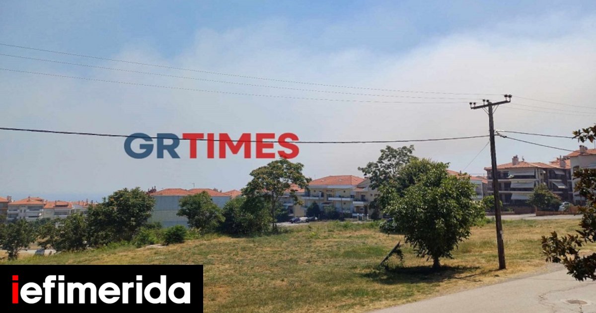 Φωτιά στο Λιτόχωρο Πιερίας -Στη μάχη και εναέρια μέσα [βίντεο] - iefimerida.gr