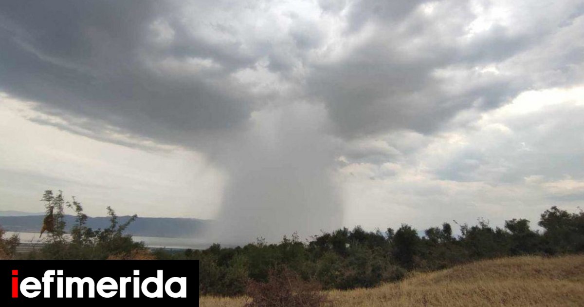Απόκοσμη εικόνα στη λίμνη Βόλβη -Το εντυπωσιακό κατέβασμα της ...