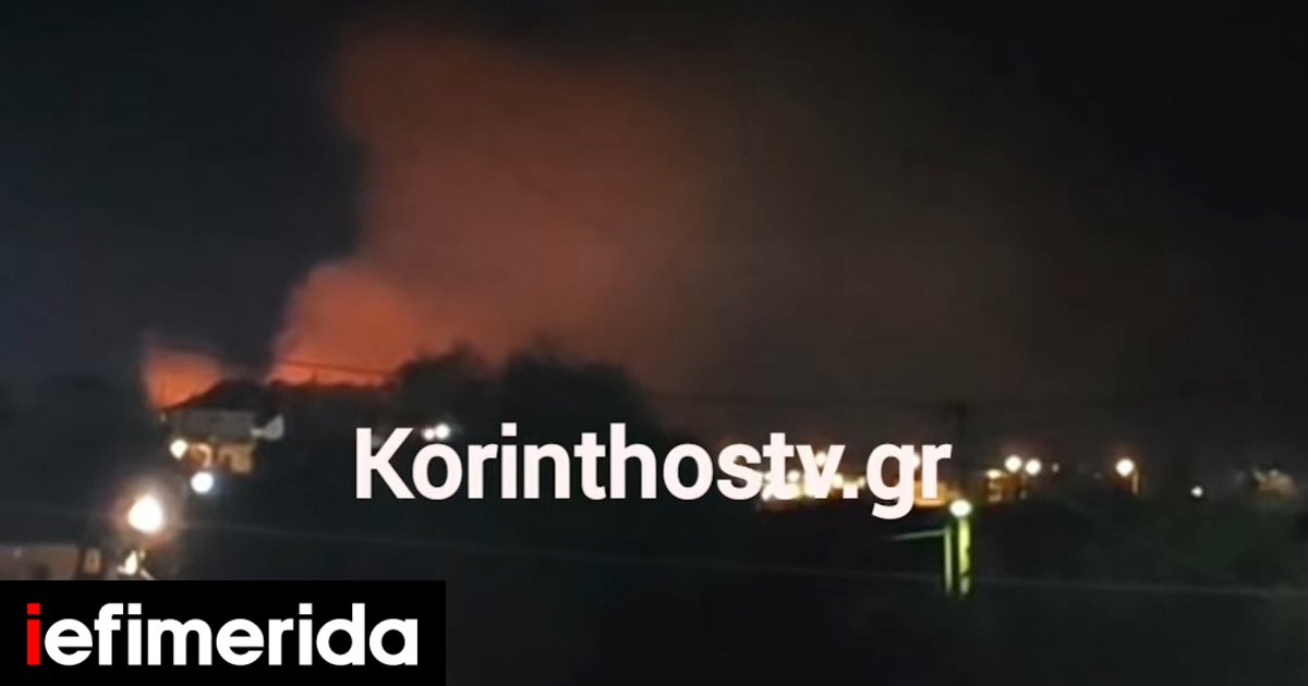Φωτιά στα Ίσθμια στην περιοχή Κυρά Βρύση [εικόνες-βίντεο] - iefimerida.gr