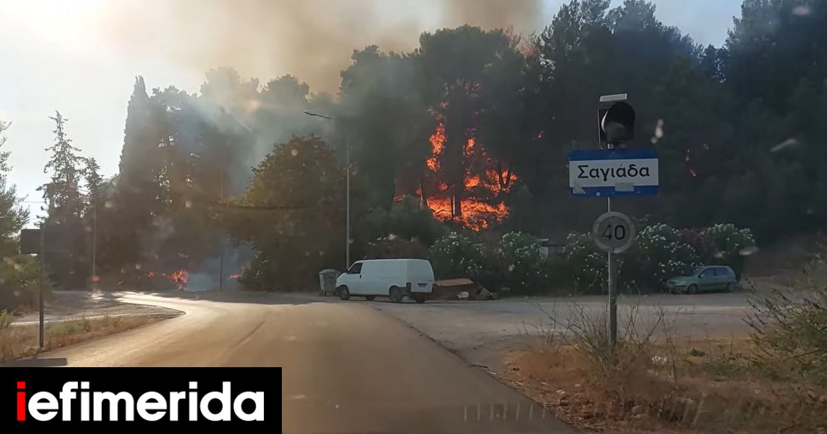 Φωτιά στη Σαγιάδα Θεσπρωτίας και στον Παρακάλαμο Πωγωνίου -Μηνύματα του 112 στους κατοίκους να ...