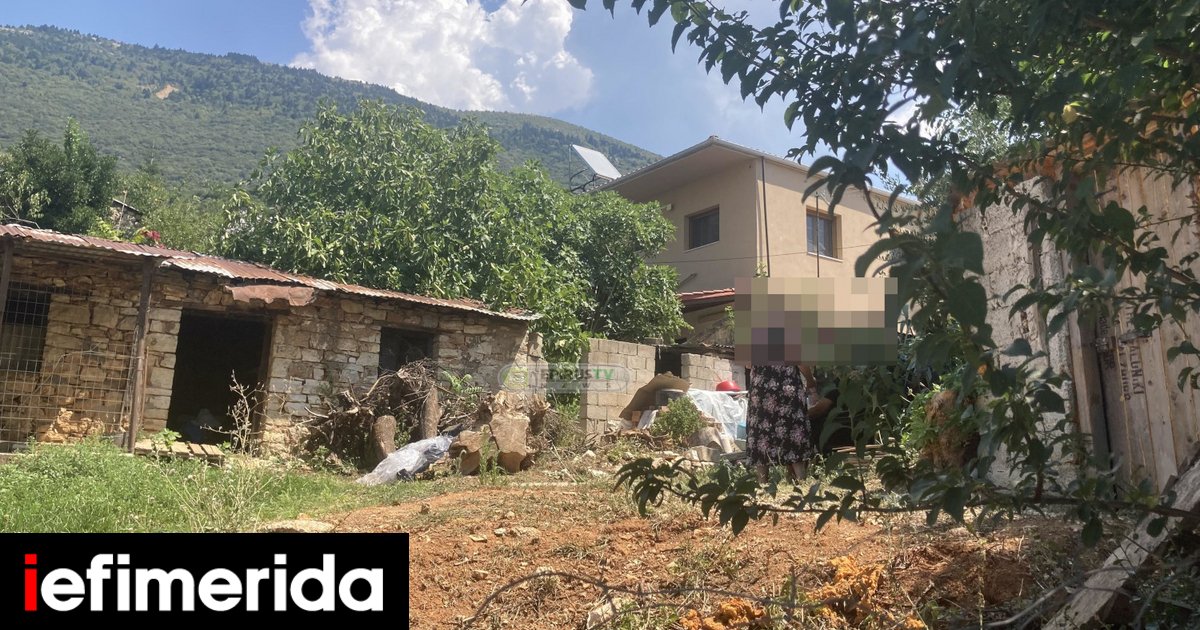Έγκλημα στα Ιωάννινα: Ο ανιψιός ομολόγησε τη δολοφονία της 62χρονης - iefimerida.gr