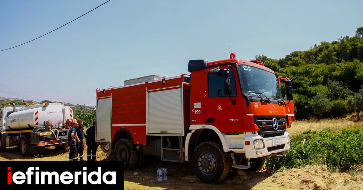 Greece Braces for Extreme Wildfire Risk Amid Heatwave, Strong Winds - iefimerida.gr