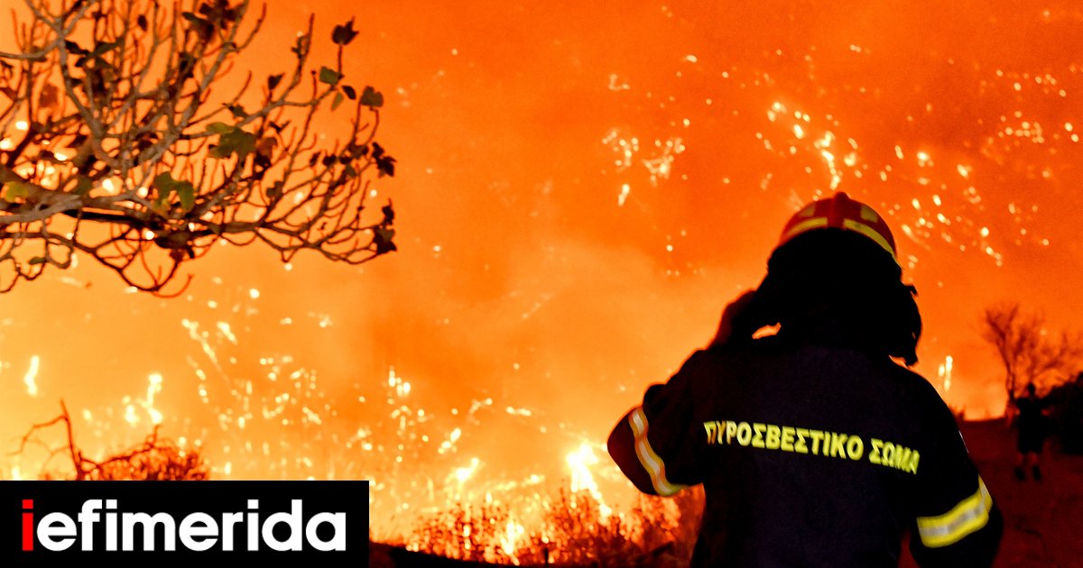 Πρόστιμο σε αντιδήμαρχο που κάπνιζε τα μελίσσια του την ώρα που ...