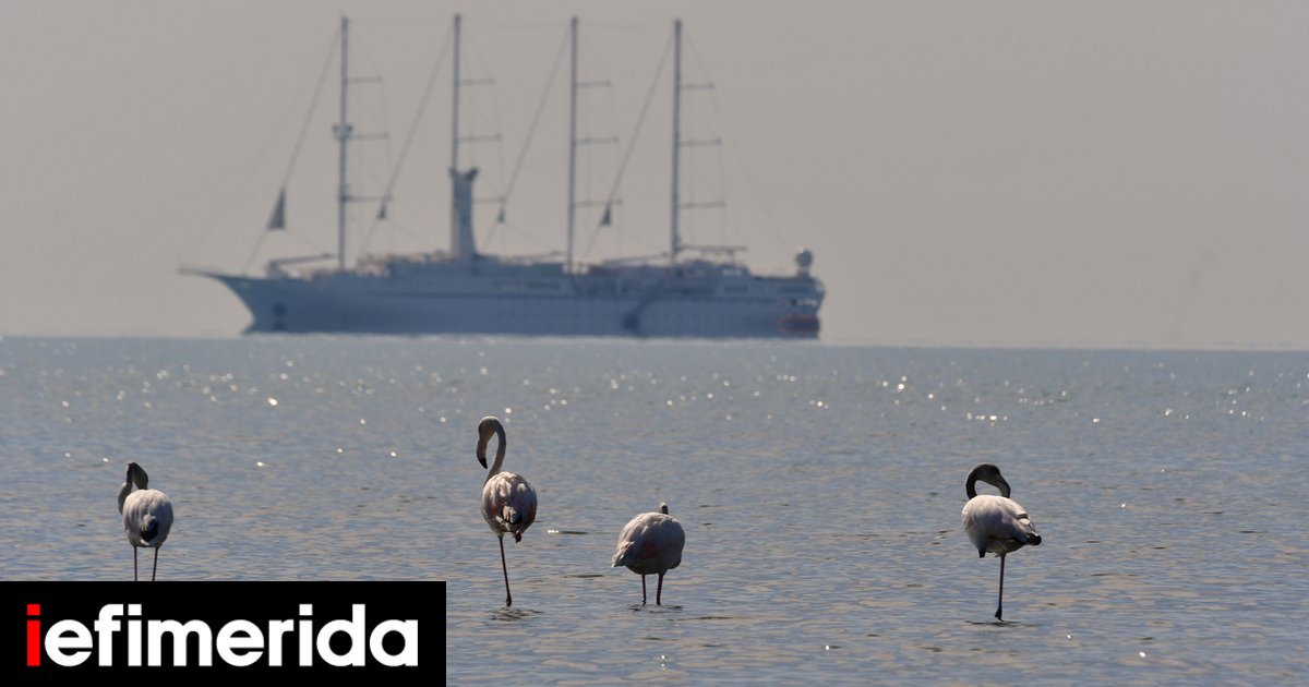 Καιρός: Έρχεται μίνι καλοκαίρι με 30άρια - iefimerida.gr