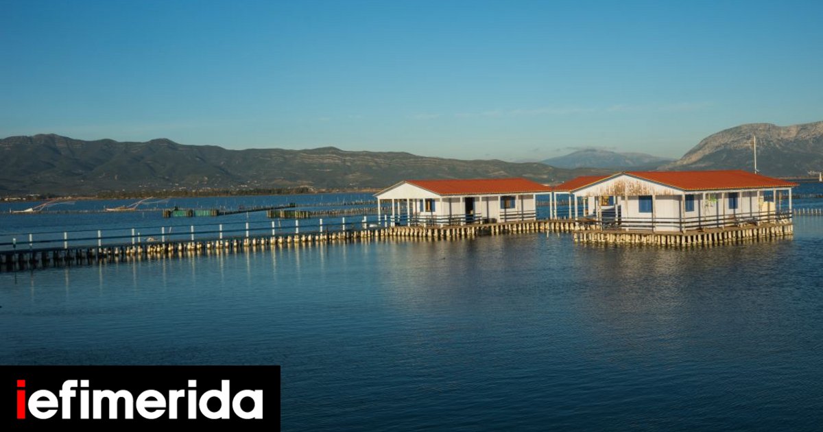 Εναλλακτική απόδραση στο Μεσολόγγι: Η πλατεία Ηρώων, βαρκάδα στη ...