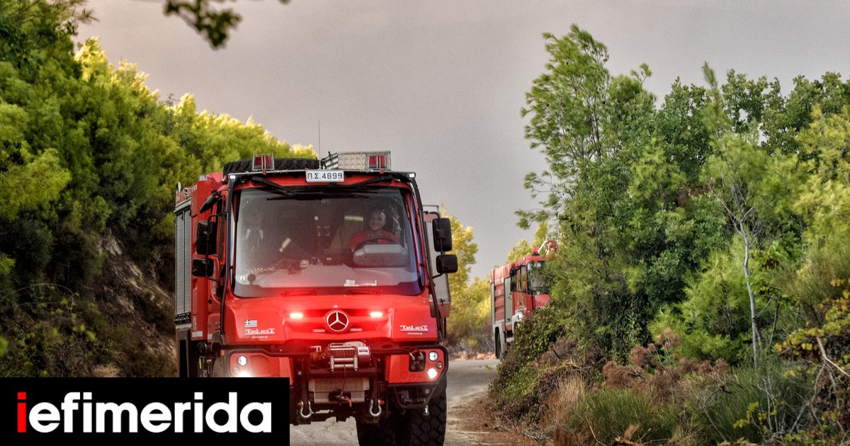 Φωτιά στις Καρίνες Ρεθύμνου: Έσπευσαν 15 πυροσβέστες - iefimerida.gr