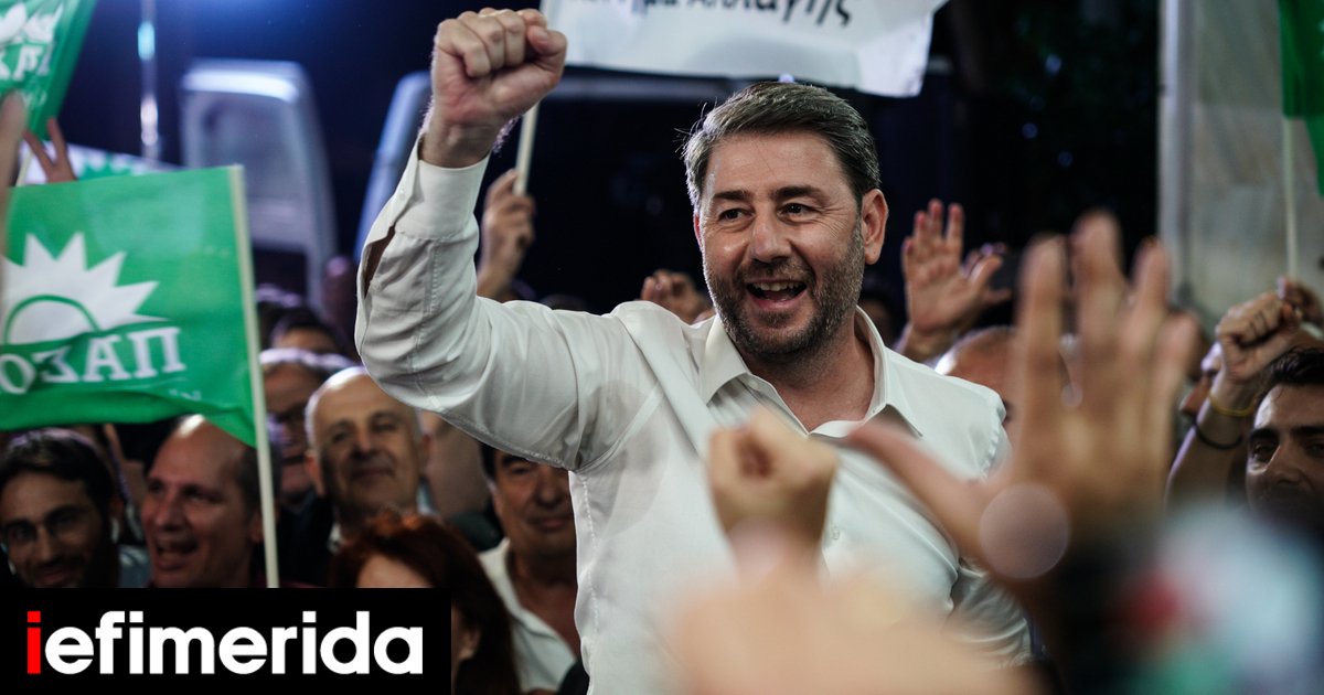 Nikos Androulakis Re-elected as Pasok Leader with Resounding Victory ...