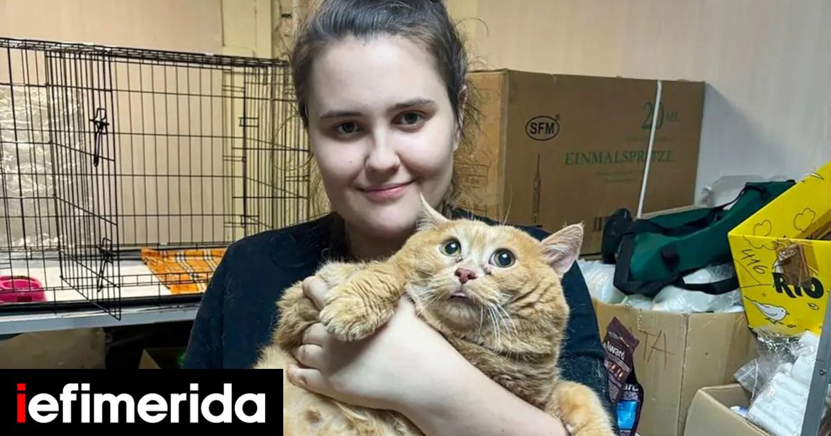 Πέθανε η πιο παχουλή γάτα του κόσμου -Ζύγιζε 17 κιλά, το λίπος είχε κρύψει τους καρκινικούς ...