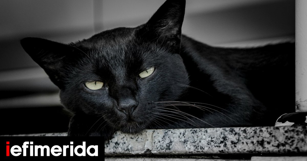 Τα 3 ζώδια που θα αντιμετωπίσουν αναποδιές το δεύτερο εξάμηνο του 2025 -Προβλήματα με οικονομικά ...