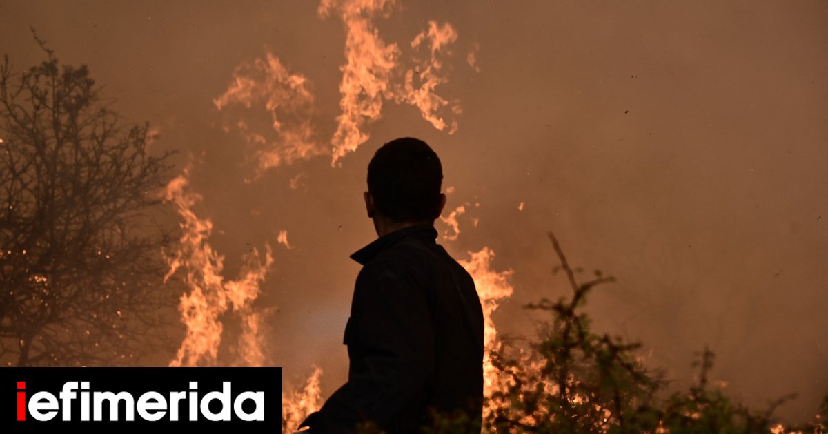 Μέγαρα: Μεγάλη φωτιά καίει χαμηλή βλάστηση -Ήχησε το 112 τα ξημερώματα - iefimerida.gr