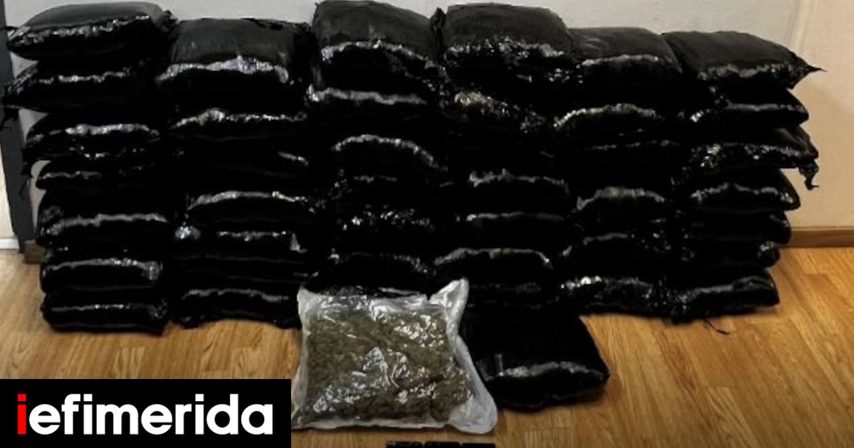 Μεταμόρφωση: Συνελήφθη 36χρονος με 47 κιλά ακατέργαστης κάνναβης [εικόνες] - iefimerida.gr
