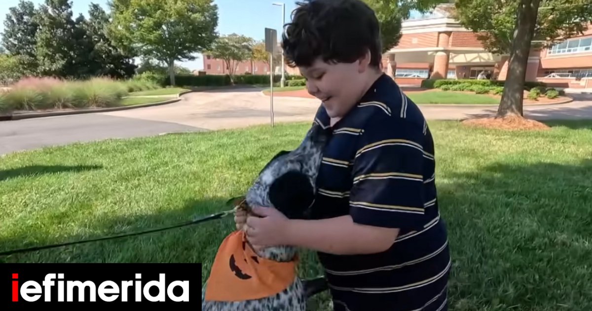 Τυφώνας Helene: Ετσι ένας σκύλος έσωσε 11χρονο που εγκλωβίστηκε σε κατολίσθηση λάσπης ...