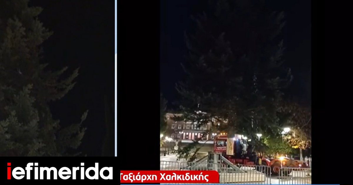 Στην πλατεία Συντάγματος το χριστουγεννιάτικο δέντρο της Αθήνας -Έλατο ...