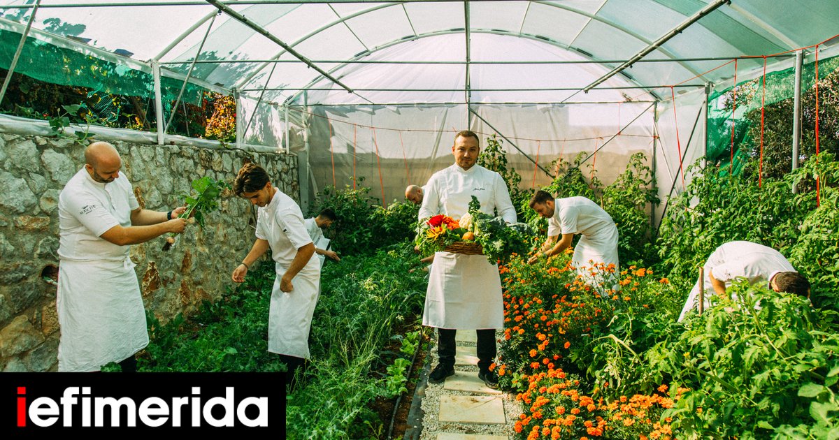 Δείπνο στο Makris Athens του Θησείου με θέα Ακρόπολη -Ο σεφ-αγρότης και τα πιάτα από τη φάρμα ...