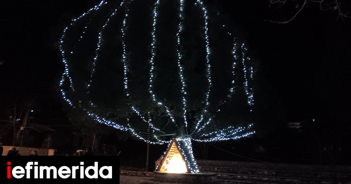 Το Χριστουγεννιάτικο φωτισμένο πουρνάρι της Σκλίβανης -Ιερό δέντρο με ...
