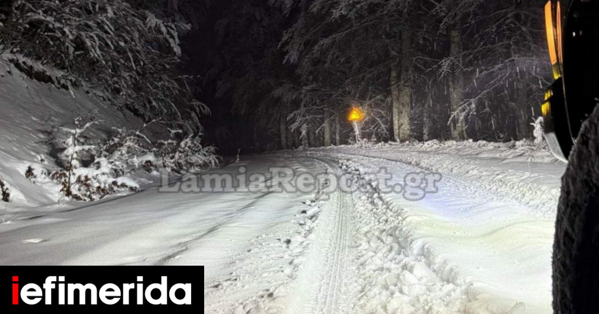 Στους 25 πόντους το χιόνι στην ορεινή Φθιώτιδα -Δείτε βίντεο - iefimerida.gr