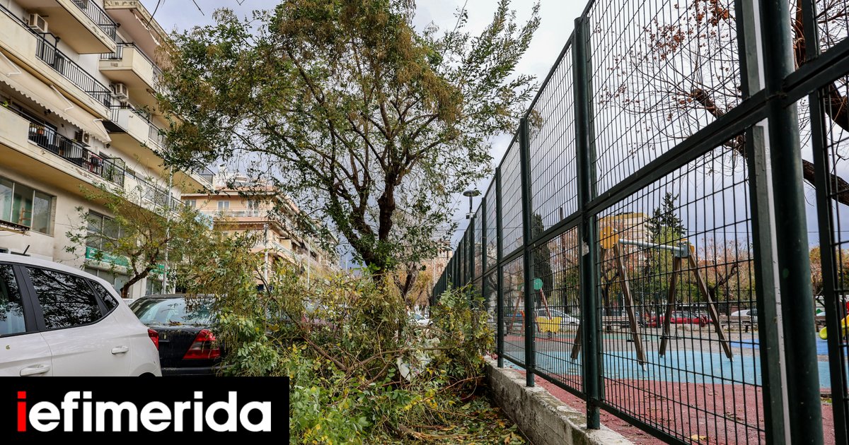 Κακοκαιρία Bora: Πότε θα αποκατασταθεί η ηλεκτροδότηση σε Θεσσαλονίκη ...