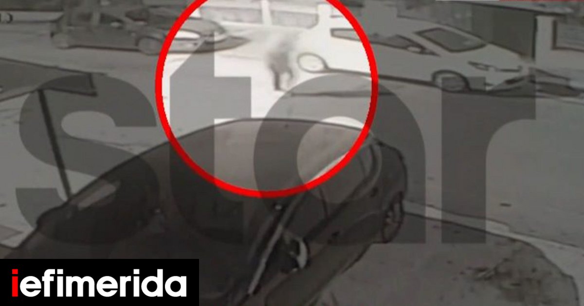 Πετρούπολη: Η στιγμή που 18χρονη ξεφεύγει από επιδειξία -«Τρόμαξα πολύ, μου κόπηκαν τα πόδια ...