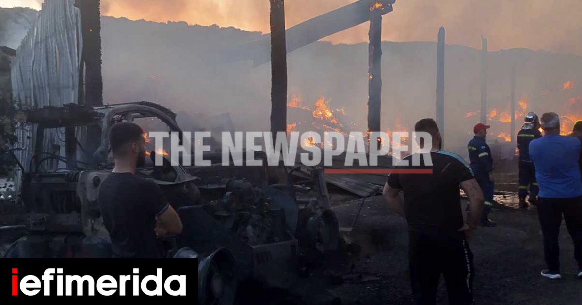 Βόλος: Φωτιά σε κτηνοτροφική μονάδα στον Αλμυρό -Απεγκλωβίστηκαν 2.500 ζώα - iefimerida.gr