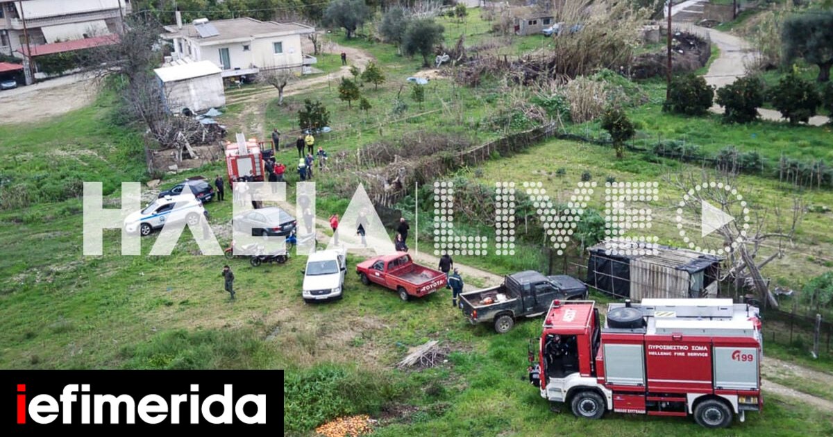 Τραγωδία στην Ηλεία: 27χρονος καταπλακώθηκε από δέντρο -Απεγκλωβίστηκε ...