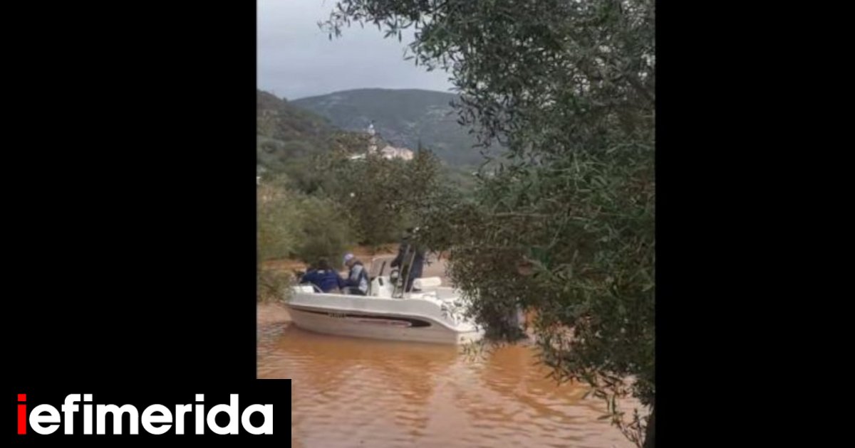 Κεφαλονιά: Οικισμός μετατράπηκε σε απέραντη λίμνη -Ταχύπλοο βοηθάει τους κατοίκους - iefimerida.gr