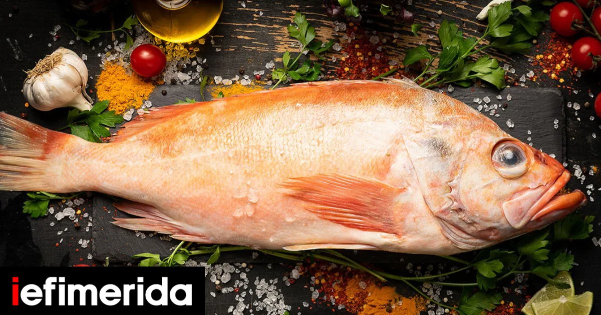 Το πιο υγιεινό ψάρι -Δεν συσσωρεύει υδράργυρο και είναι ασφαλέστερο από ...