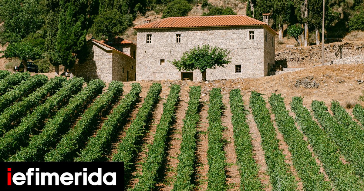 Ενας ιστορικός αμπελώνας, σε απόσταση 2,5 ωρών από την Αθήνα -Το Κτήμα ...