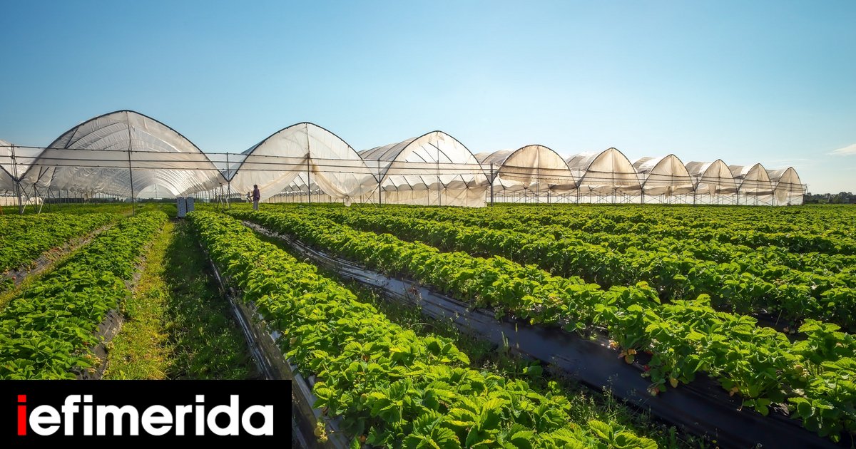 Πρόγραμμα Αγροτικής Ανάπτυξης 2014-2022: Πληρωμές 7,99 δισ. ευρώ και ...