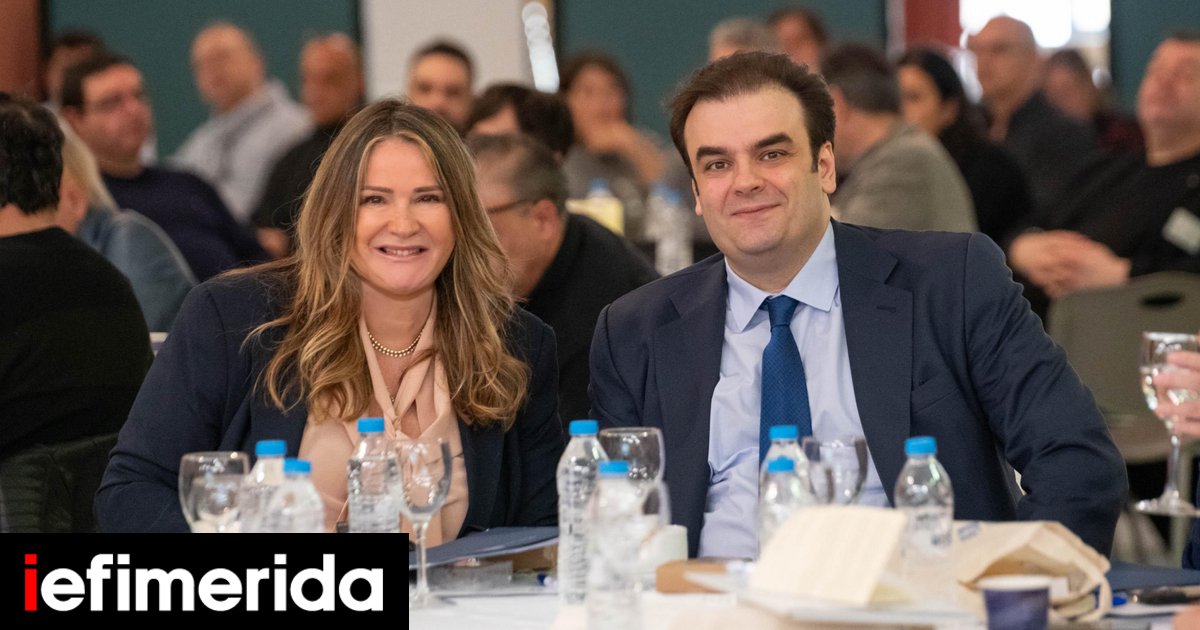 Άννα Ροκοφύλλου: Σε ένα χρόνο το ΙΝΕΔΙΒΙΜ χρηματοδότησε με πάνω από 5,5 ...