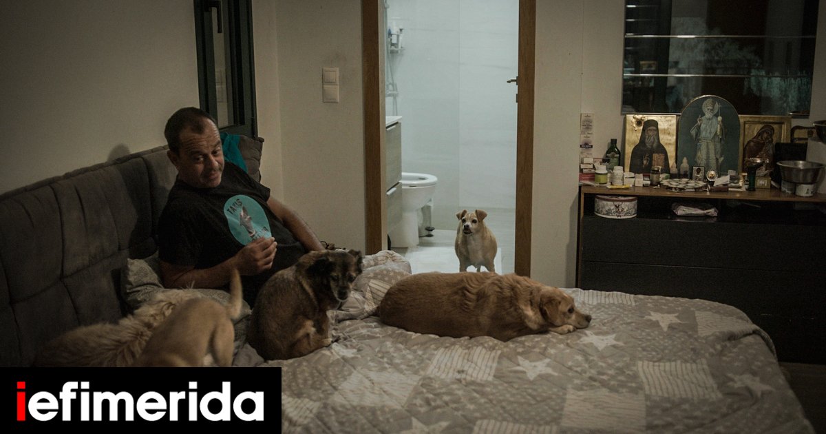 Η ζωή του Τάκη στην Κρήτη που έχει σώσει 2.500 αδέσποτα, έγινε ντοκιμαντέρ [εικόνες] - iefimerida.gr