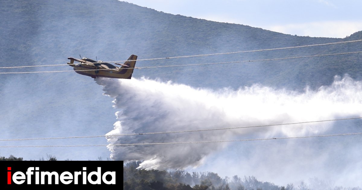 Φωτιά σε εξέλιξη στη Ροδόπη -Επιχειρούν 5 αεροσκάφη - iefimerida.gr