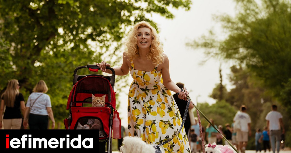 Μια ηθοποιός, ένας γάτος και δύο σκύλοι στο πιο viral καρότσι της Αθήνας -Ποια είναι η Κυβέλη ...