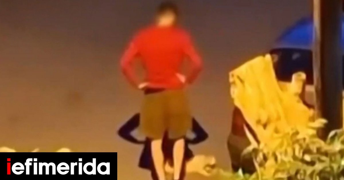 Θεσσαλονίκη: Ελεύθερος υπό όρους ο 34χρονος που σκότωσε γατάκι -Τι ...