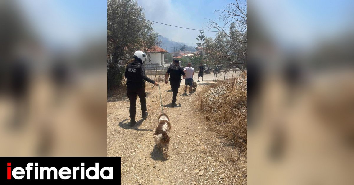Φωτιά στη Παλαιά Φώκαια: Δεκάδες απεγκλωβισμοί πολιτών και ζώων από την ΕΛ.ΑΣ -Δραματικές ...