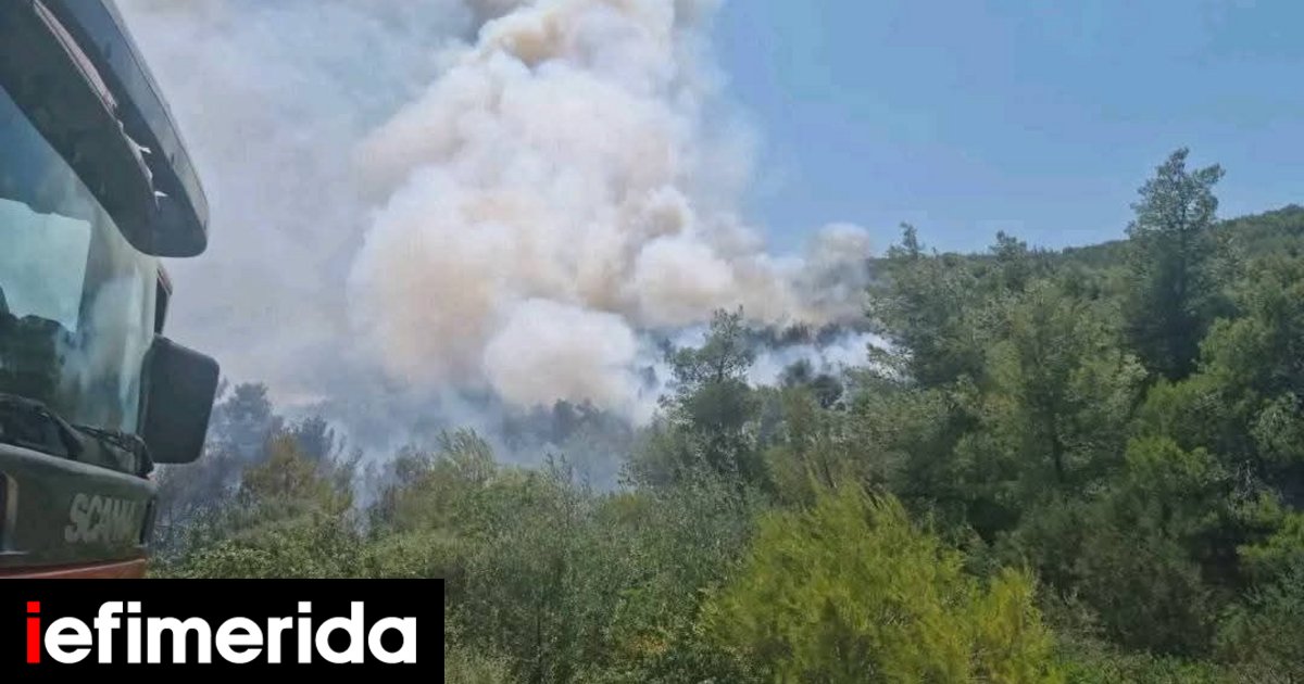 Οριοθετήθηκε η φωτιά στο Άνω Σούλι Μαραθώνα -Είχε σταλεί διπλό 112, στην μάχη εναέρια μέσα ...